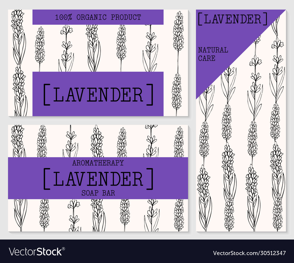 Packaging design elements and templates Royalty Free Vector