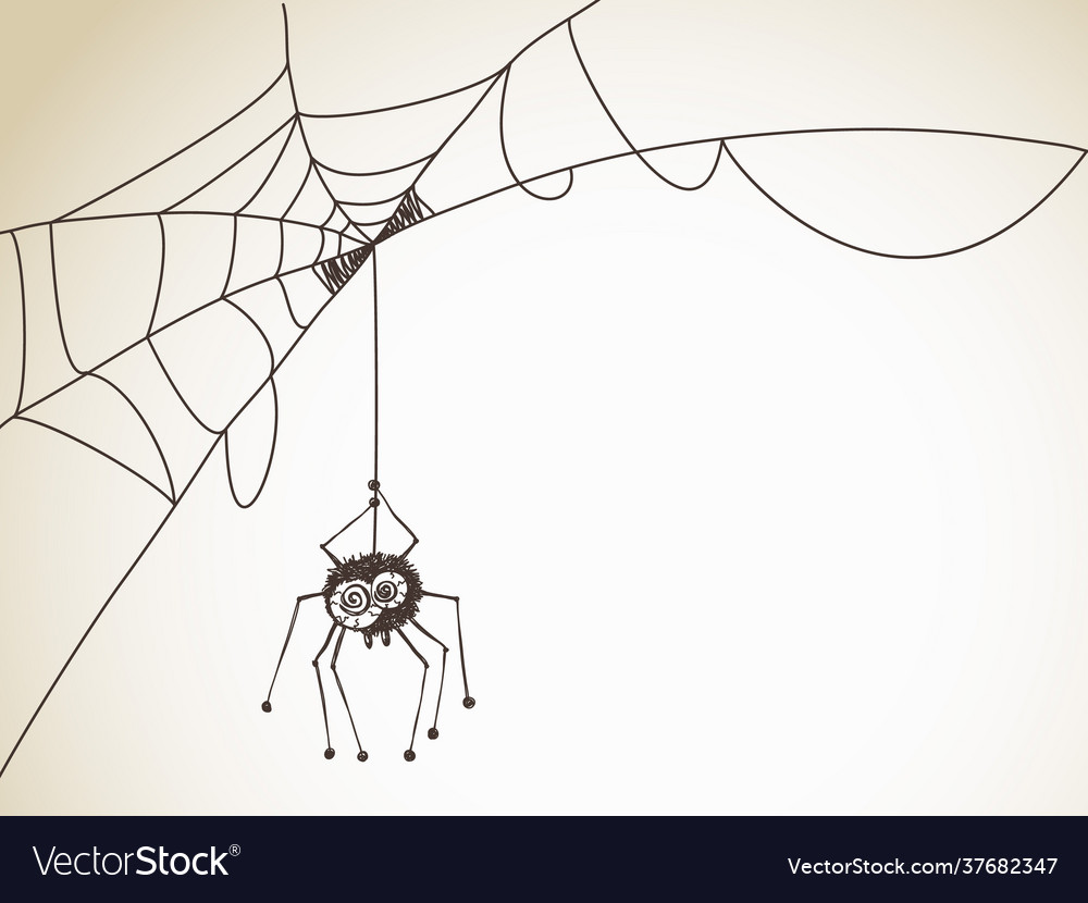 Spider Royalty Free Vector Image - VectorStock