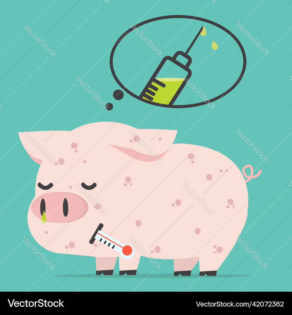 Sick pig swine flu a vaccination concept Vector Image