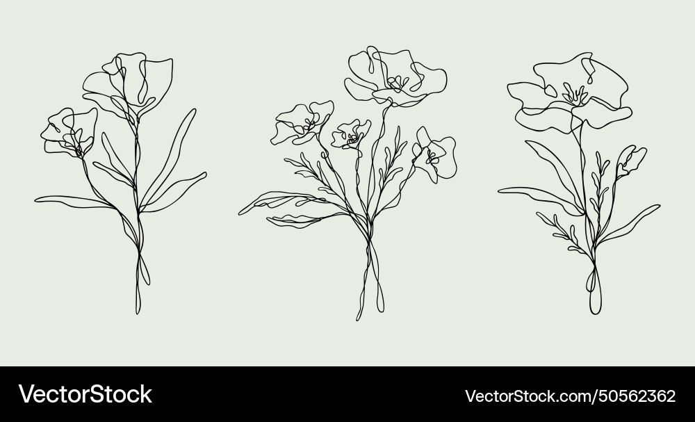 Wildflower line art bundle Royalty Free Vector Image