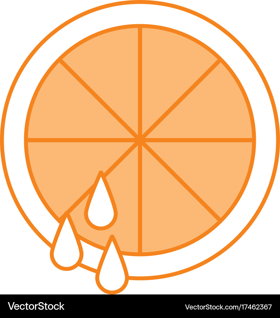 Sliced orange fruit drop juice harvest Royalty Free Vector