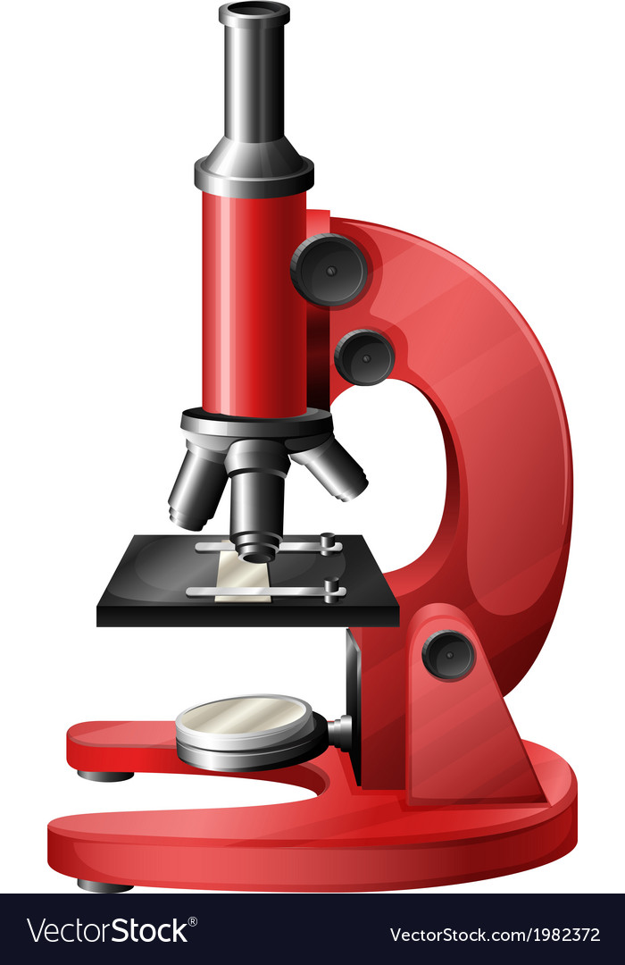 A red microscope Royalty Free Vector Image - VectorStock