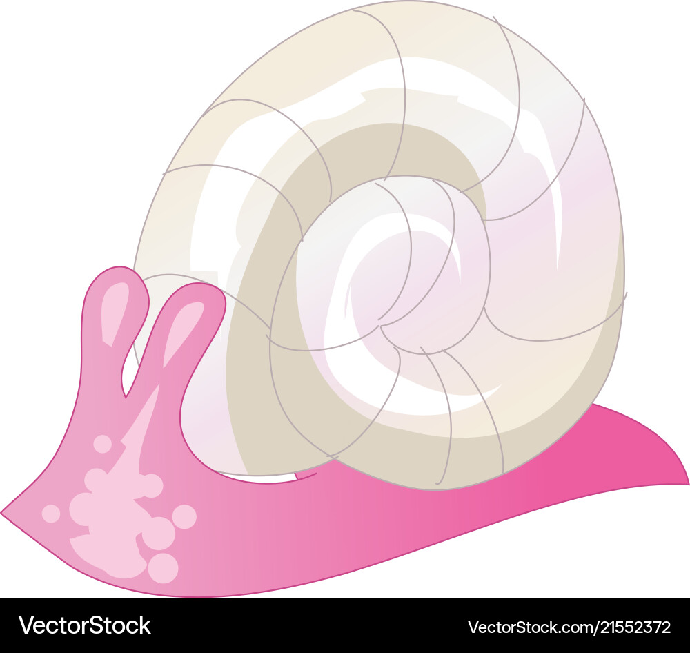 Flat style of pink snail icon Royalty Free Vector Image