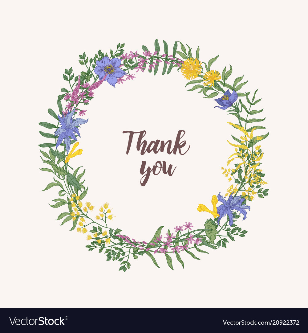 Thank You Lettering Written With Cursive Font Vector Image
