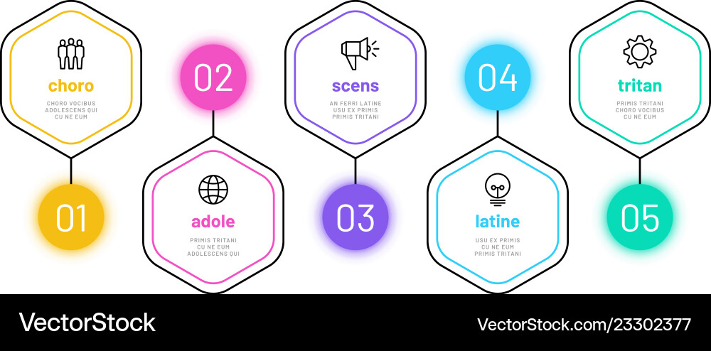 Line option infographic 5 number infograph Vector Image