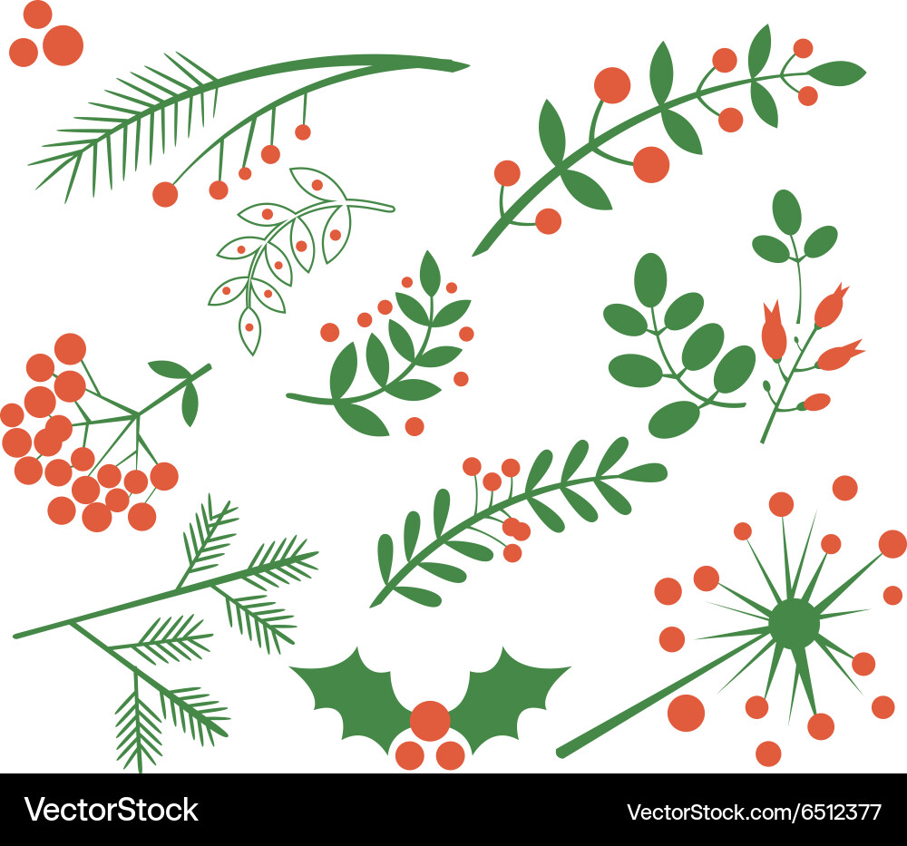 Red Berries Fir and Leaves Royalty Free Vector Image
