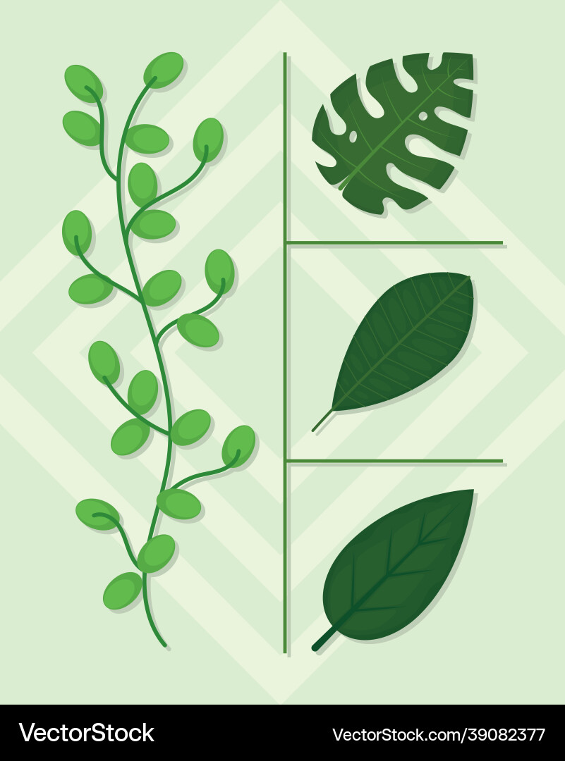 Tropical leaves icon set Royalty Free Vector Image