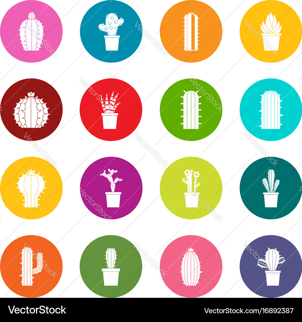 Different cactuses icons many colors set Vector Image