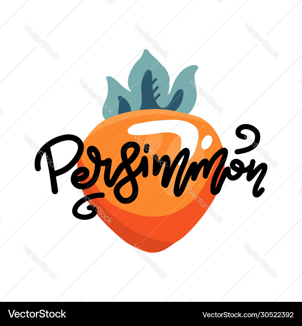Single big persimmon with line lettering text the Vector Image