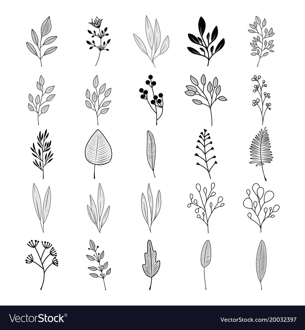 Bloom nice collection Royalty Free Vector Image