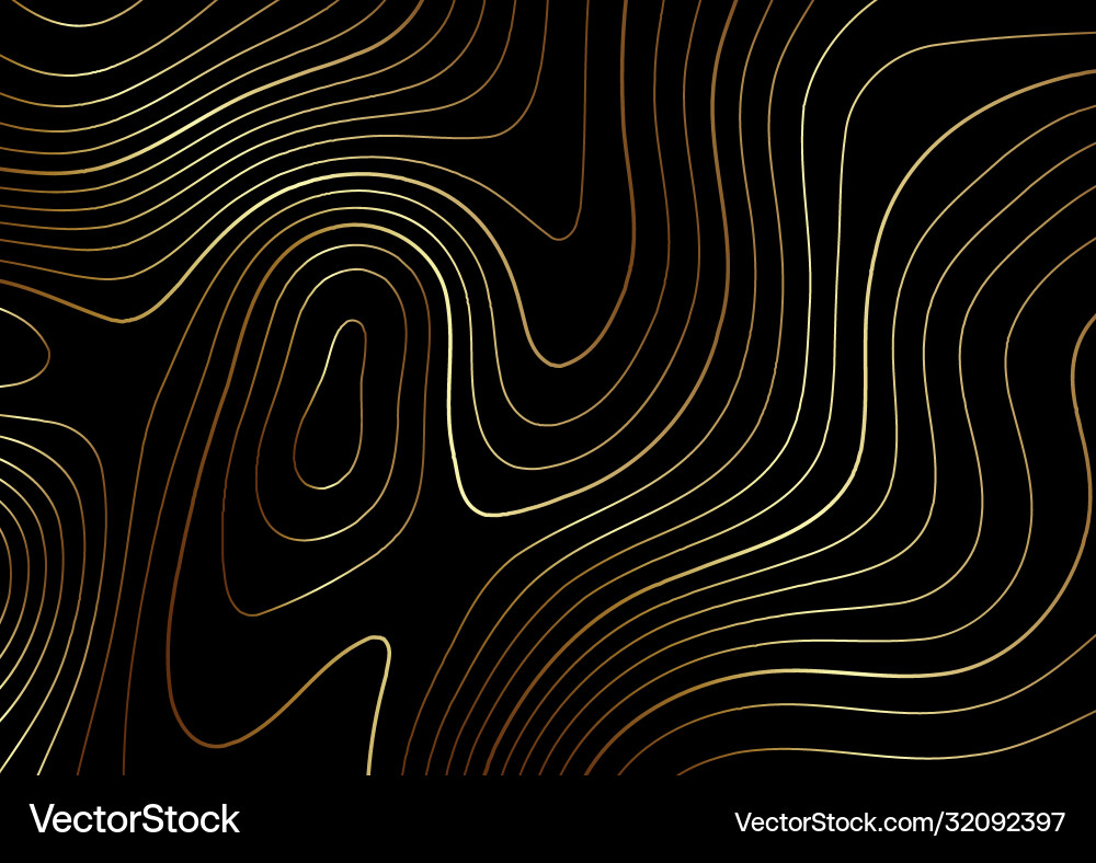 Topography map design in gold and black Royalty Free Vector