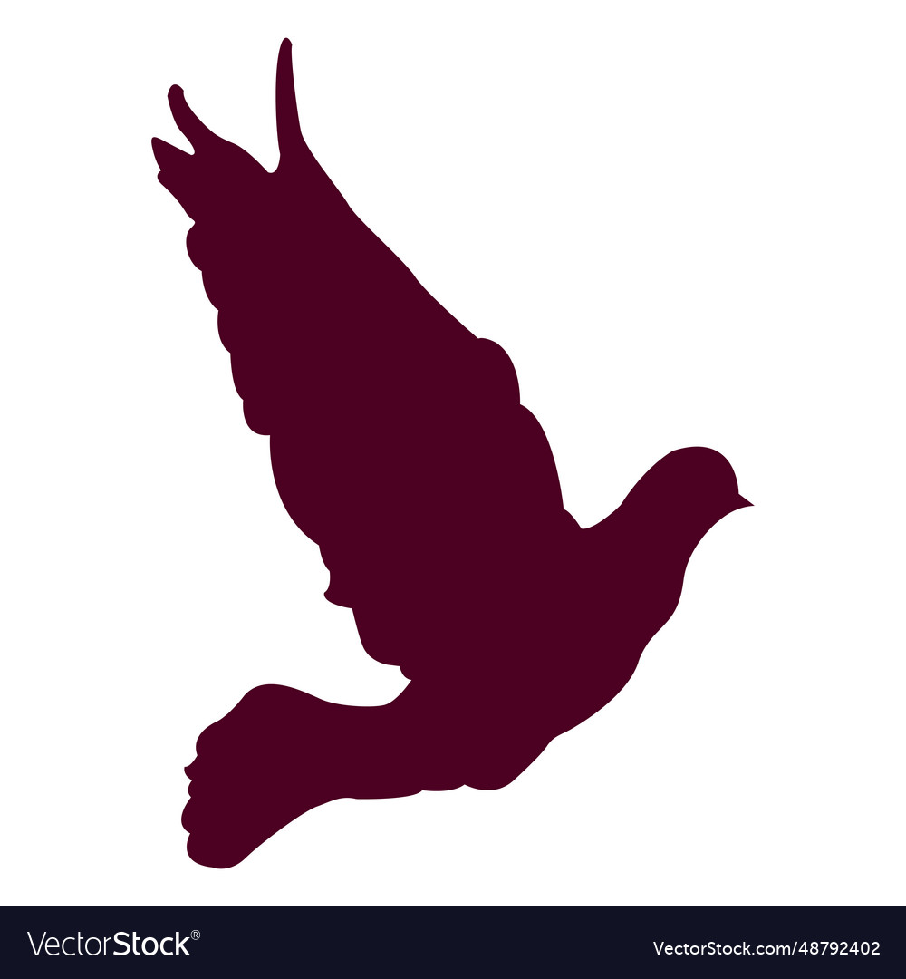 Dove flying sequence 11 Royalty Free Vector Image