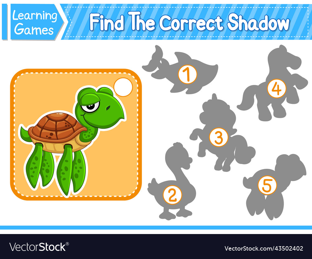 Find the correct shadow and match Royalty Free Vector Image