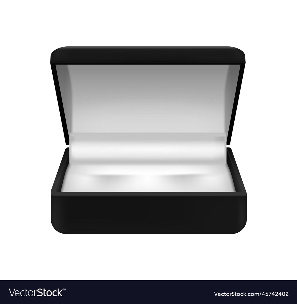 Rectangular ring case composition Royalty Free Vector Image