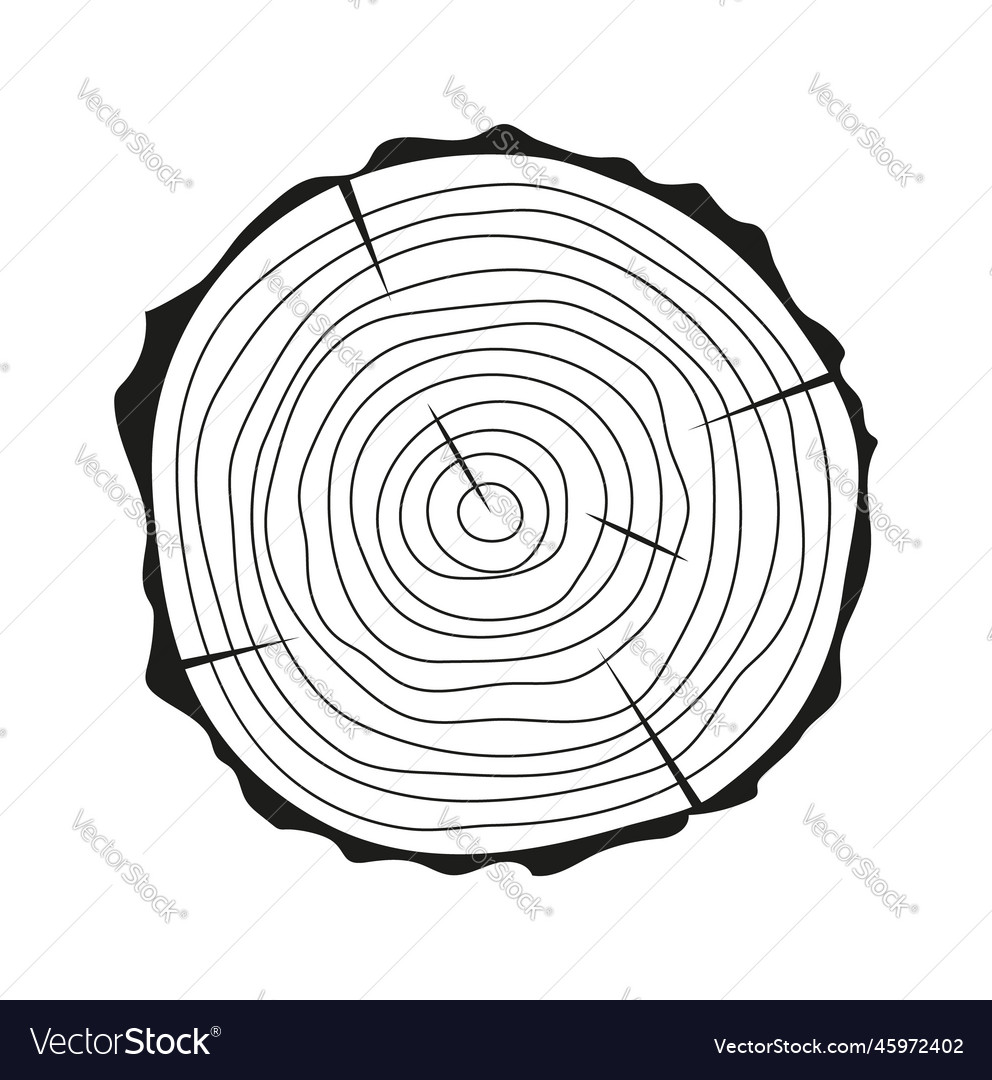 Tree trunk cuts in hand drawn sketch bark Vector Image Tree trunk cuts in hand drawn sketch bark Vector Image