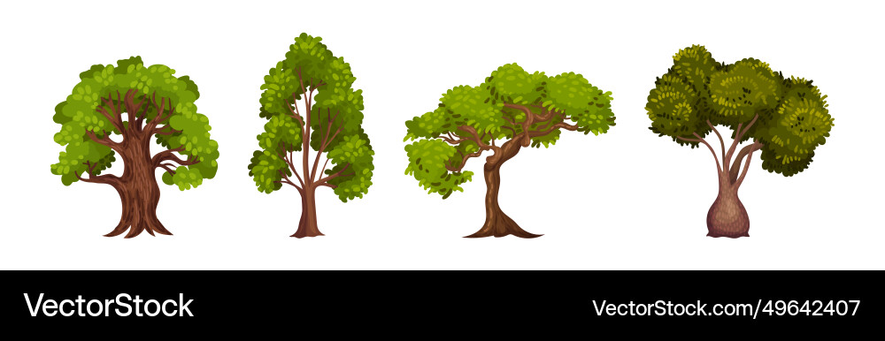 Green trees with lush crown and trunk set Vector Image