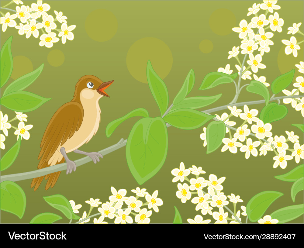 Nightingale singing on a branch with flowers Vector Image
