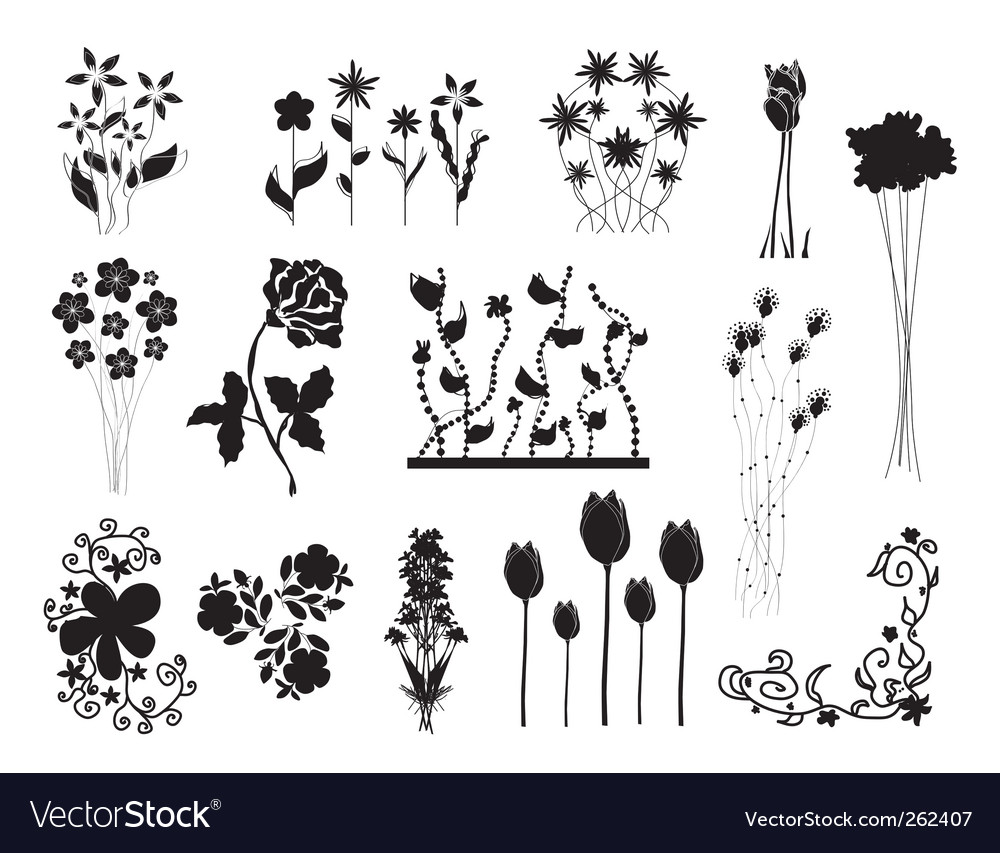 Set floral design elements Royalty Free Vector Image