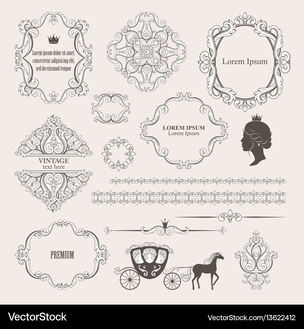 Mega set collections of vintage design elements Vector Image