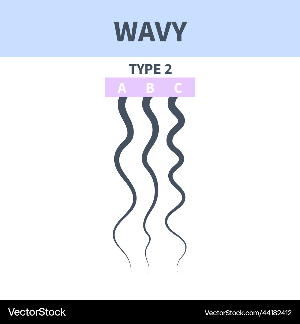 Wavy hair type chart of strands growth pattern Vector Image