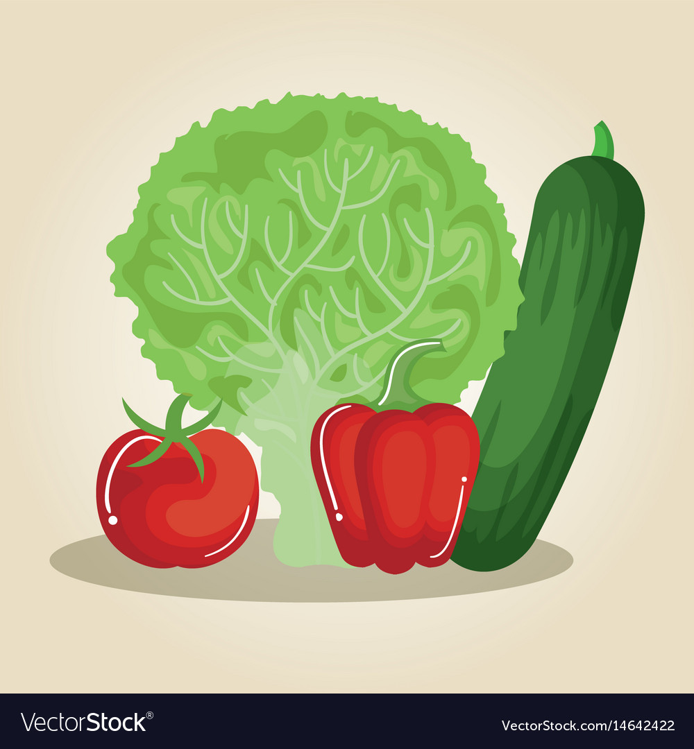 Healthy food vegan icons Royalty Free Vector Image