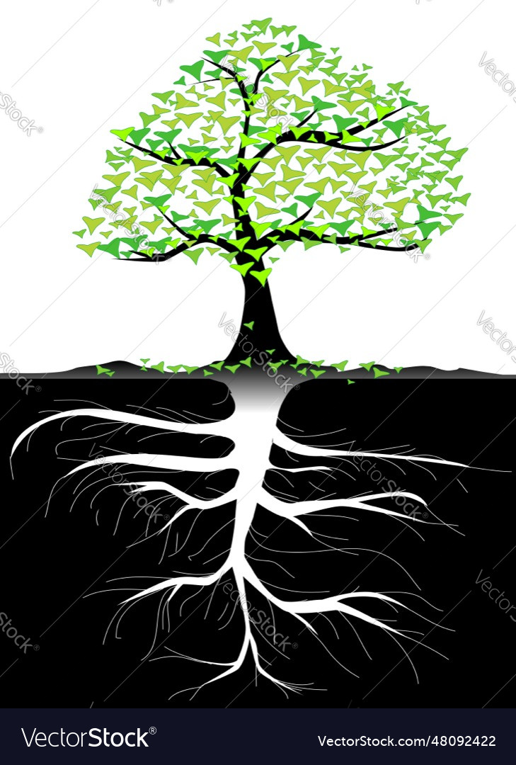 Tree branches and roots Royalty Free Vector Image