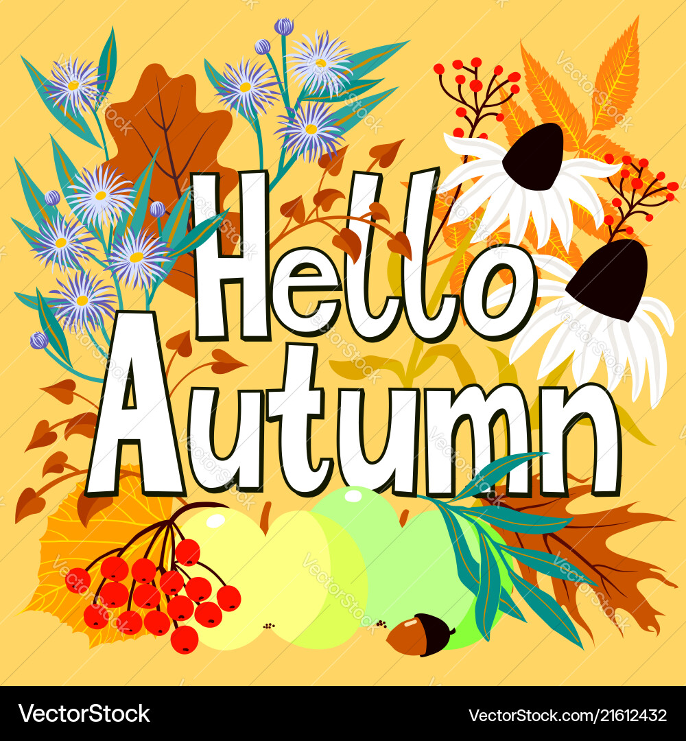 Card with words hello autumn and fall leaves Vector Image