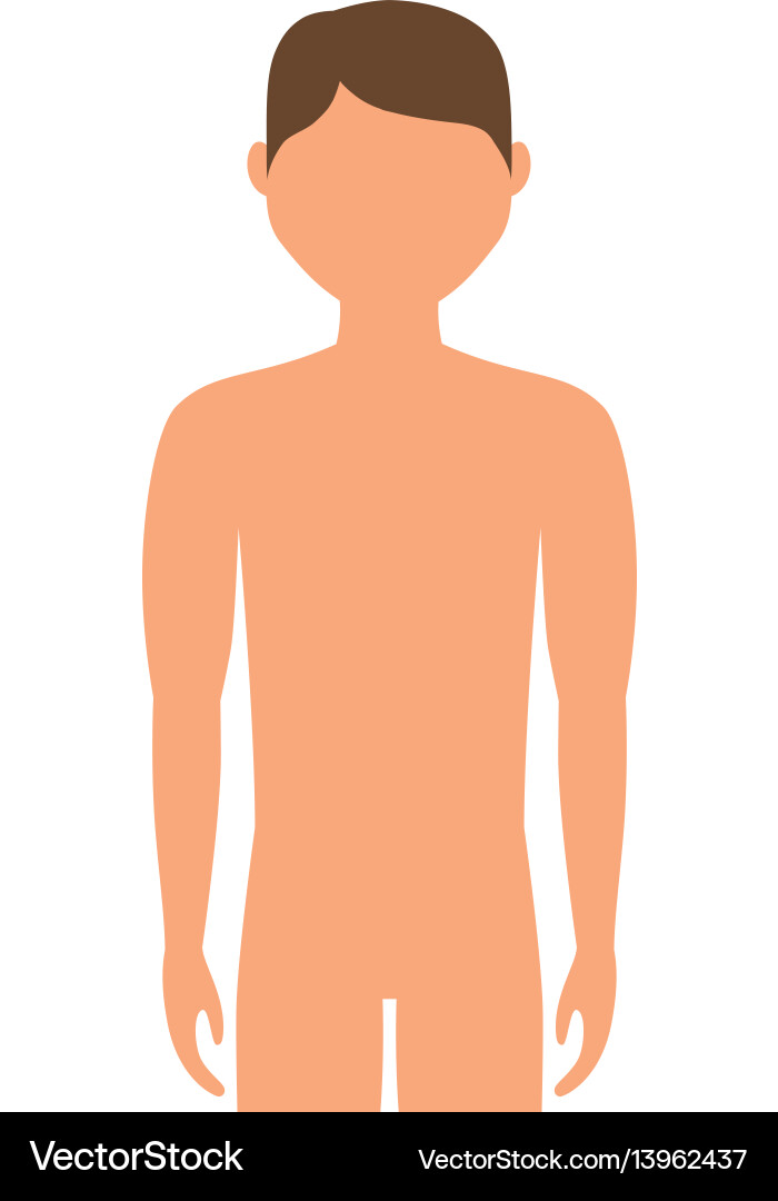 Body of man icon Royalty Free Vector Image - VectorStock
