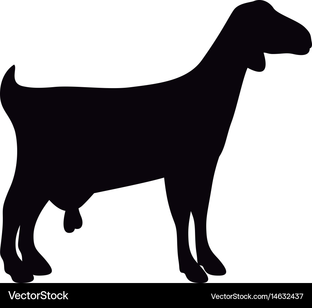 Goat livestock animal design Royalty Free Vector Image