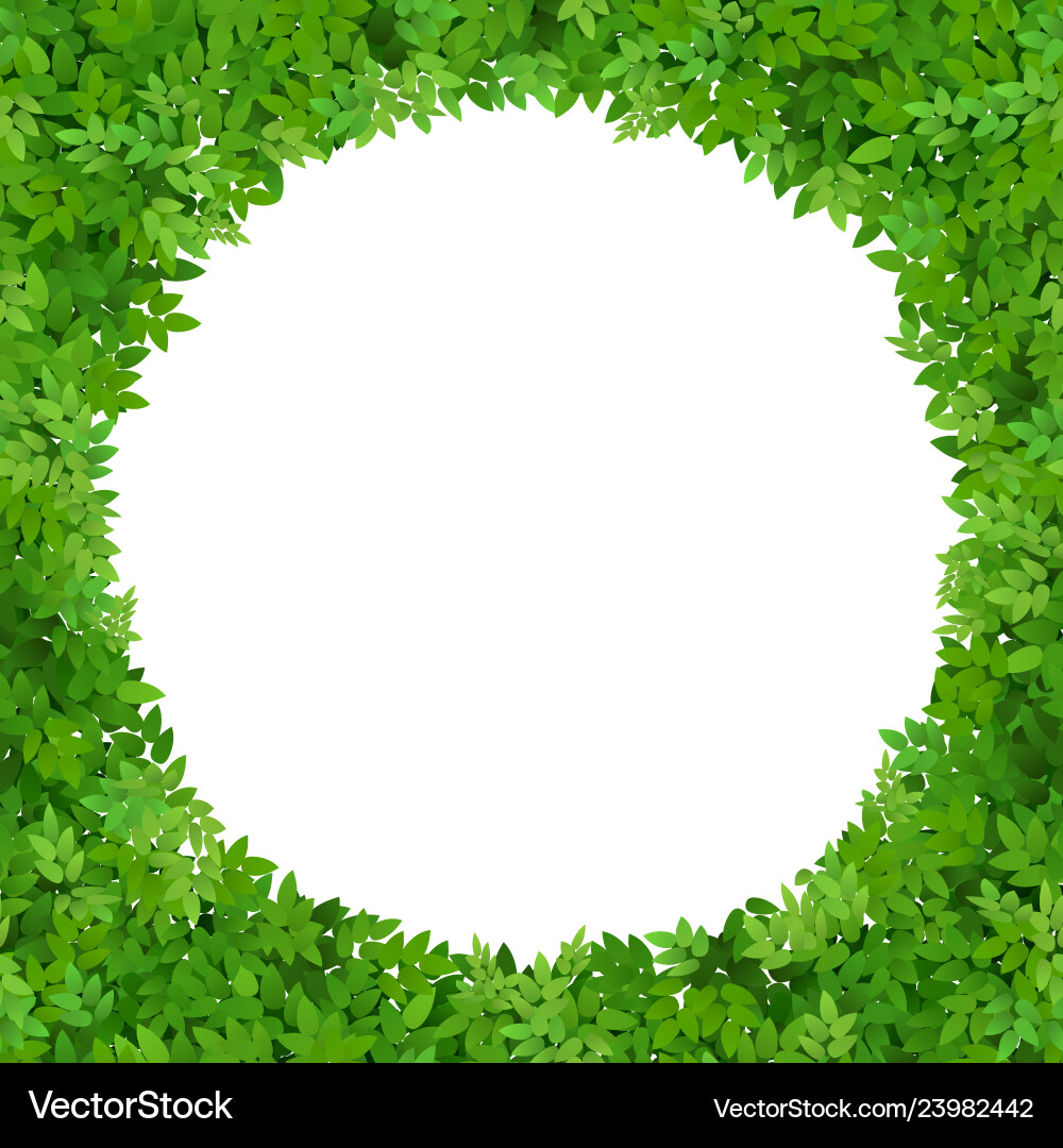 Circular frame of green leaves Royalty Free Vector Image