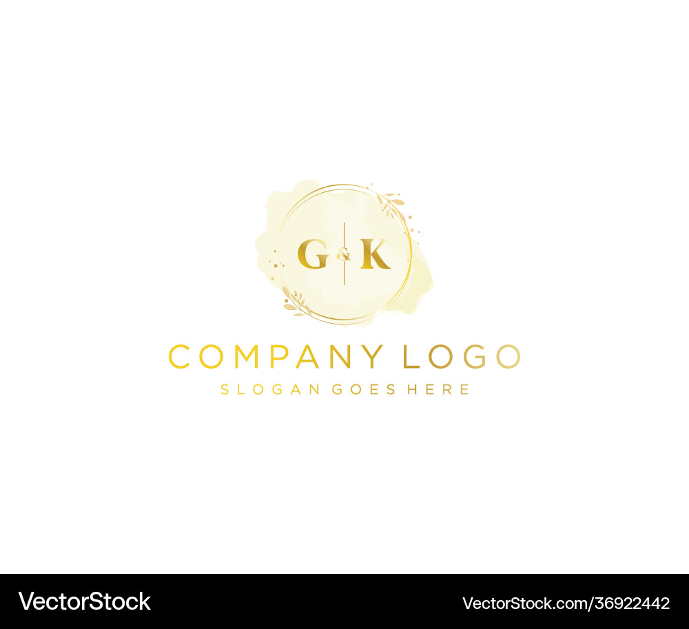 Initial gk letters colorful watercolor splash Vector Image