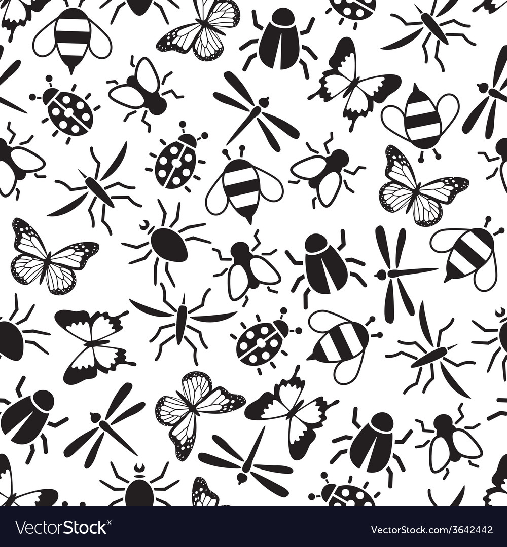 Insect seamless pattern Royalty Free Vector Image