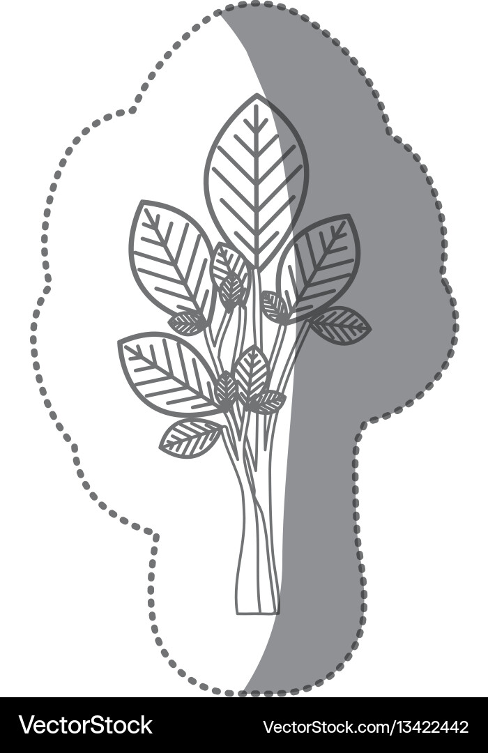 Sticker gray color ramifications with oval leaves Vector Image