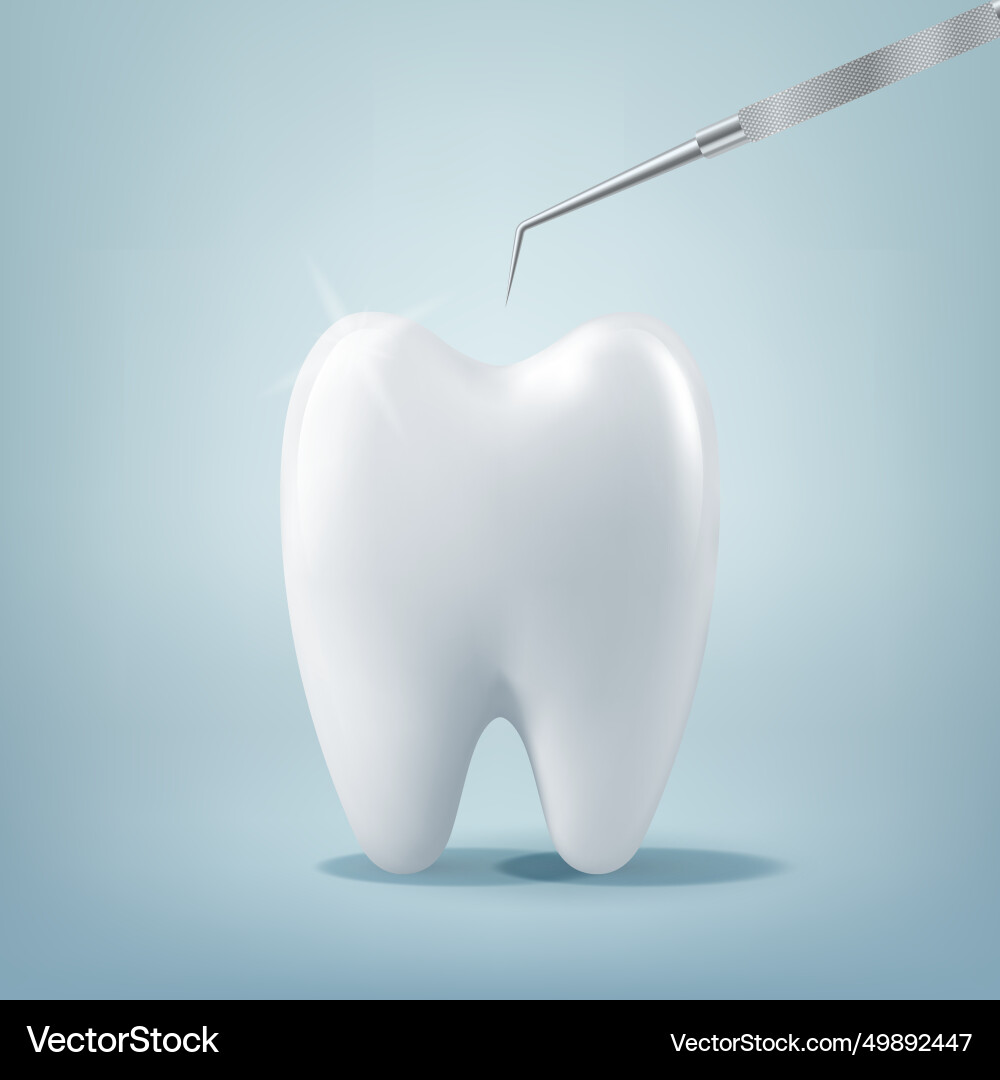 3d realistic tooth and dental probe Royalty Free Vector