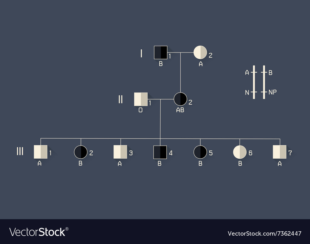 Inheritance Royalty Free Vector Image - VectorStock