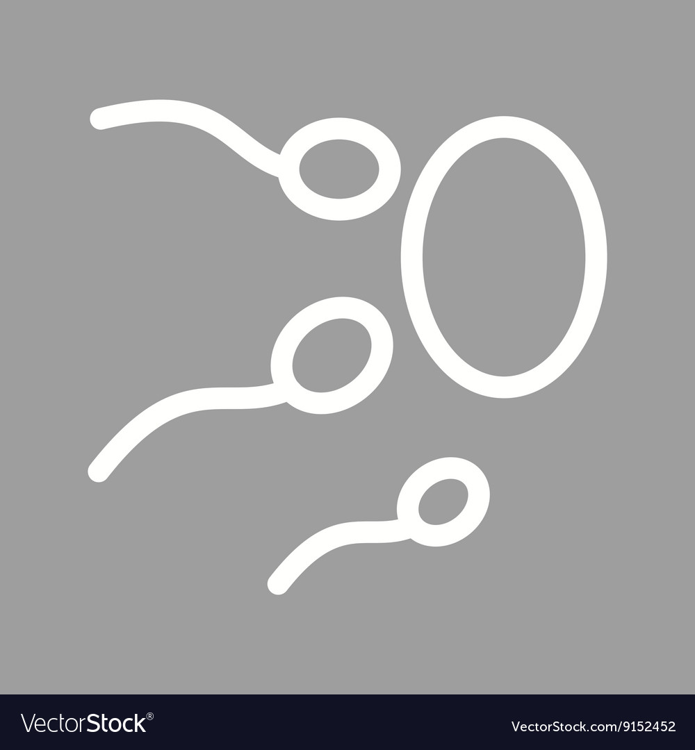 Sperm Royalty Free Vector Image - VectorStock