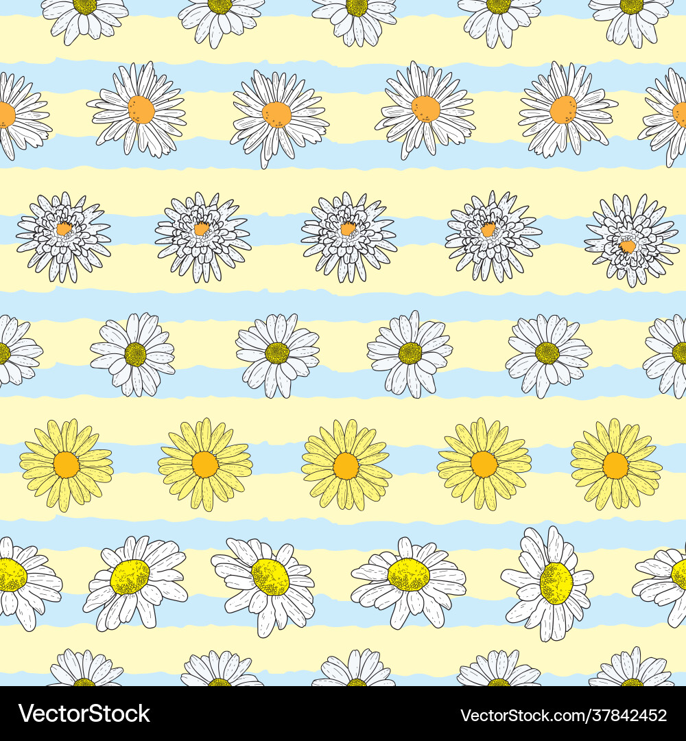 Yellow background daisy flowers and wild Vector Image