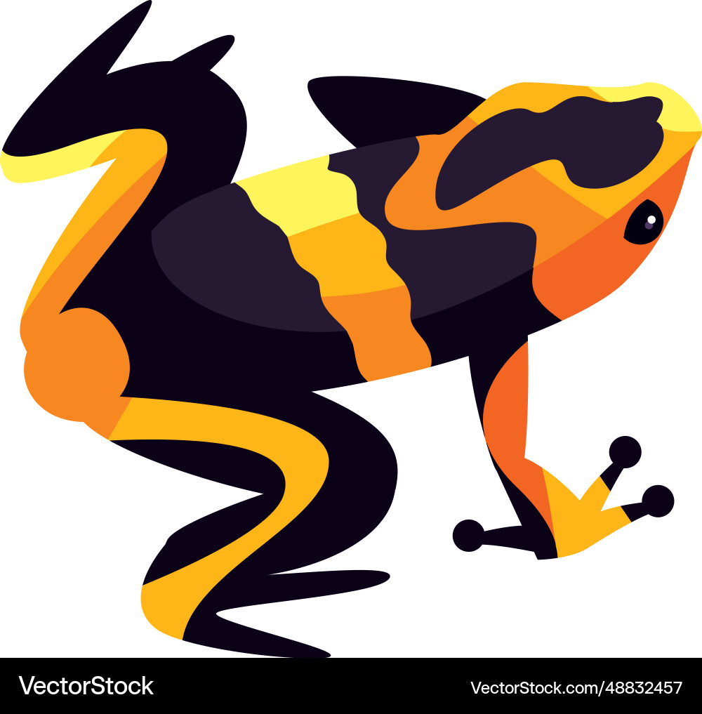 Frog amphibian Royalty Free Vector Image - VectorStock