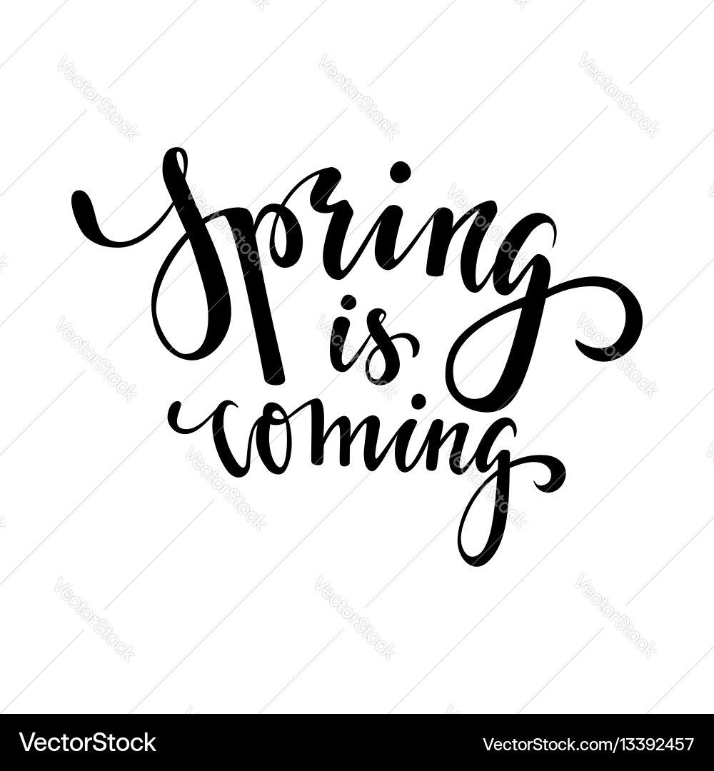 Spring is coming hand drawn calligraphy and brush Vector Image