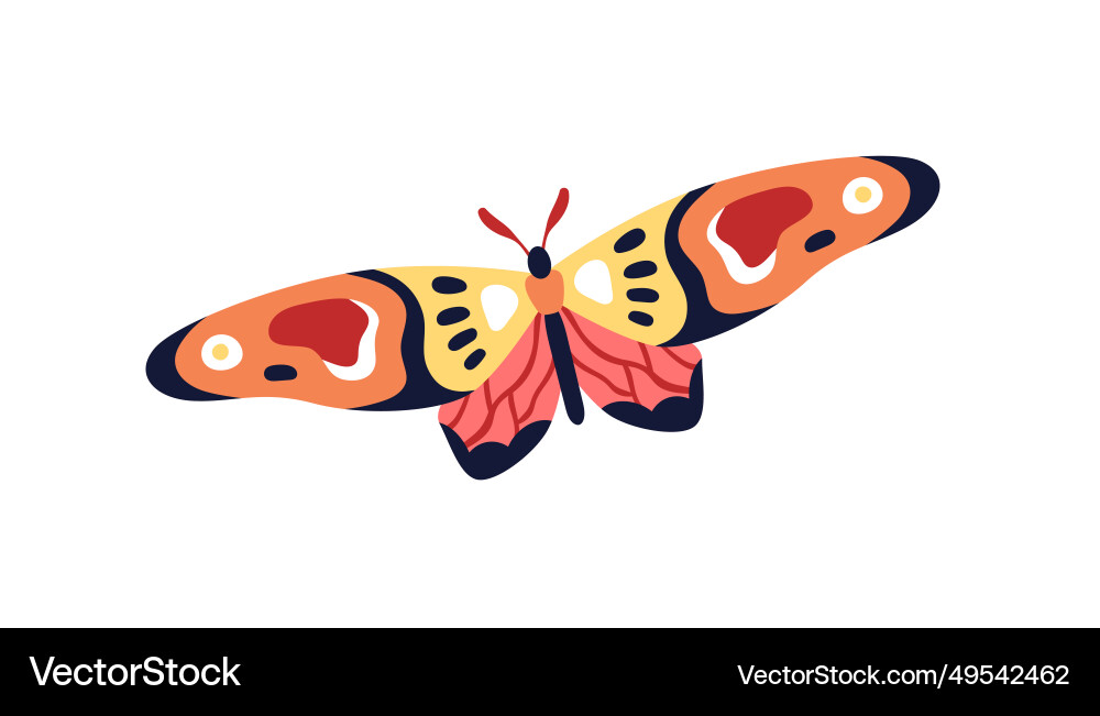 Exotic tropical butterfly flying beautiful moth Vector Image