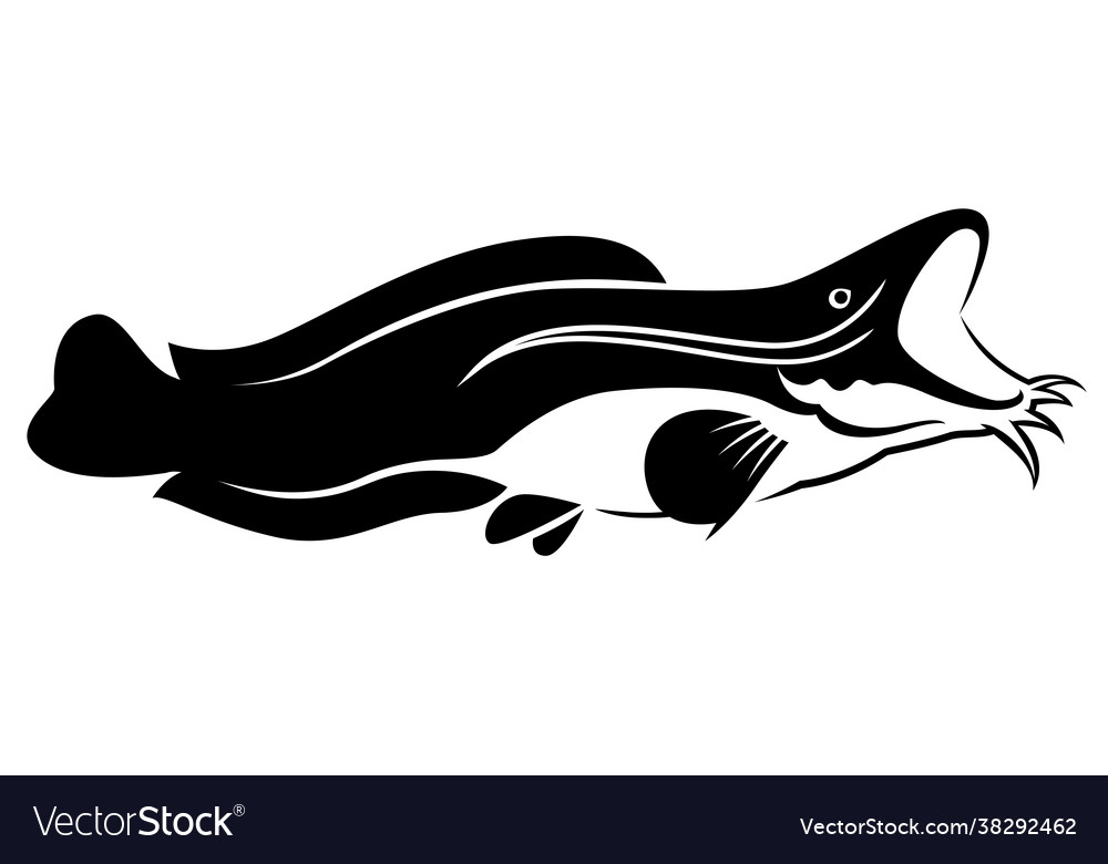 Open mouth black catfish graphic Royalty Free Vector Image Open mouth black catfish graphic Royalty Free Vector Image