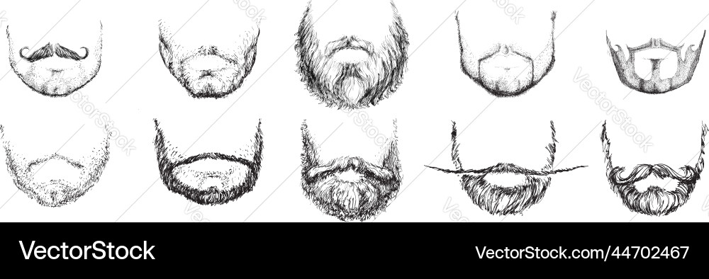 A set of different beards drawn by hand shaving Vector Image
