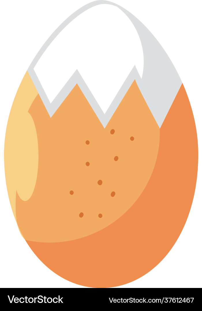 Boiled egg fresh Royalty Free Vector Image - VectorStock