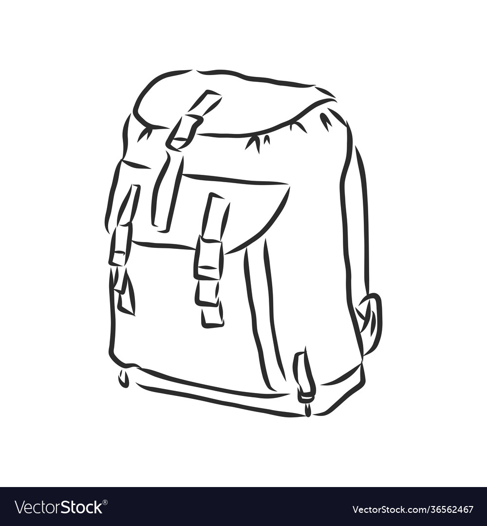 Sketch backpack Royalty Free Vector Image - VectorStock