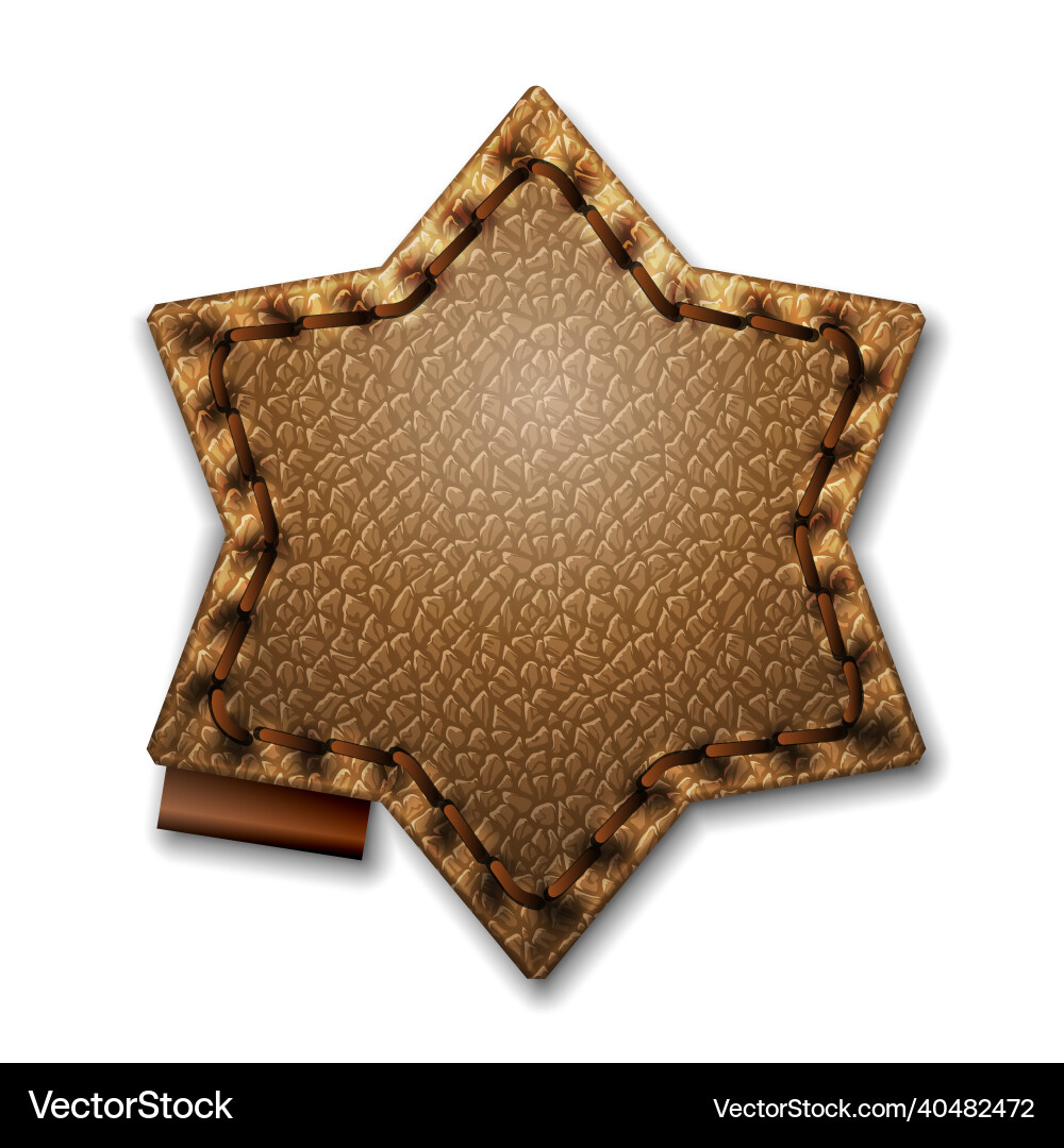 Brown star stitched black leather label isolated Vector Image