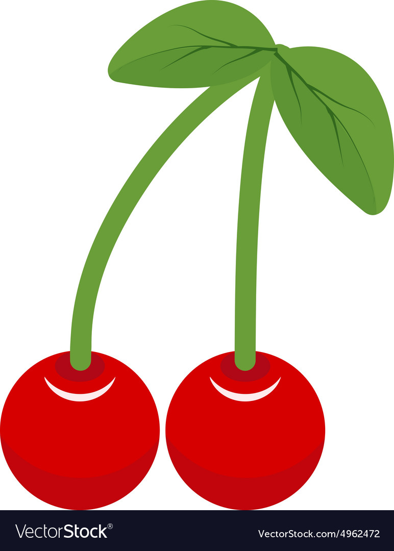 Cherries Royalty Free Vector Image - VectorStock