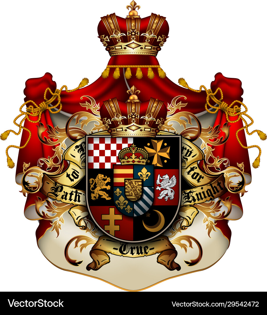 Heraldic shield with a crown and royal mantle Vector Image