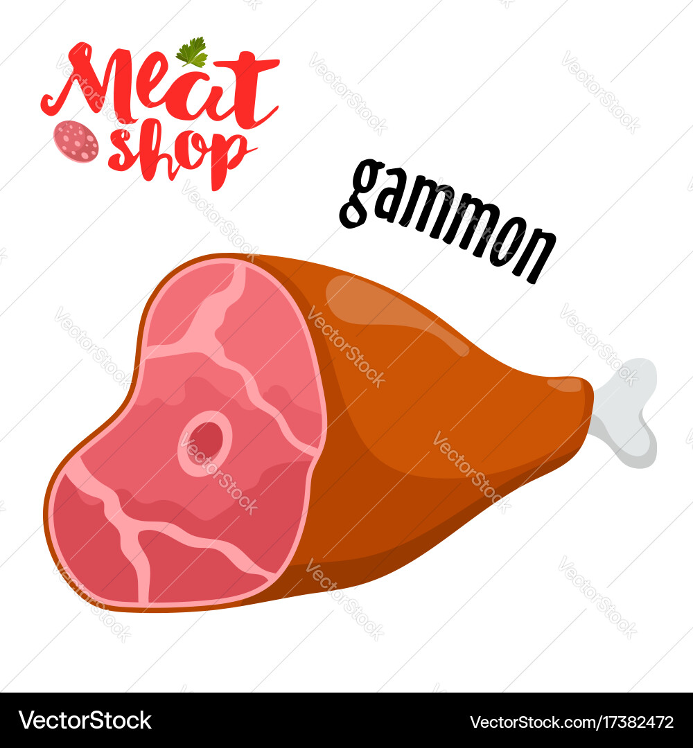 Meat - gammon fresh icon Royalty Free Vector Image
