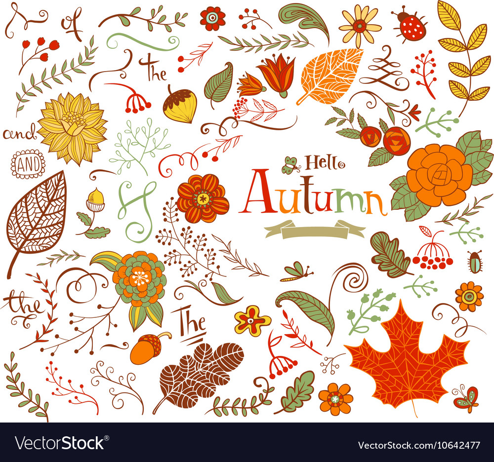 Autumn floral design elements in doodle style Vector Image