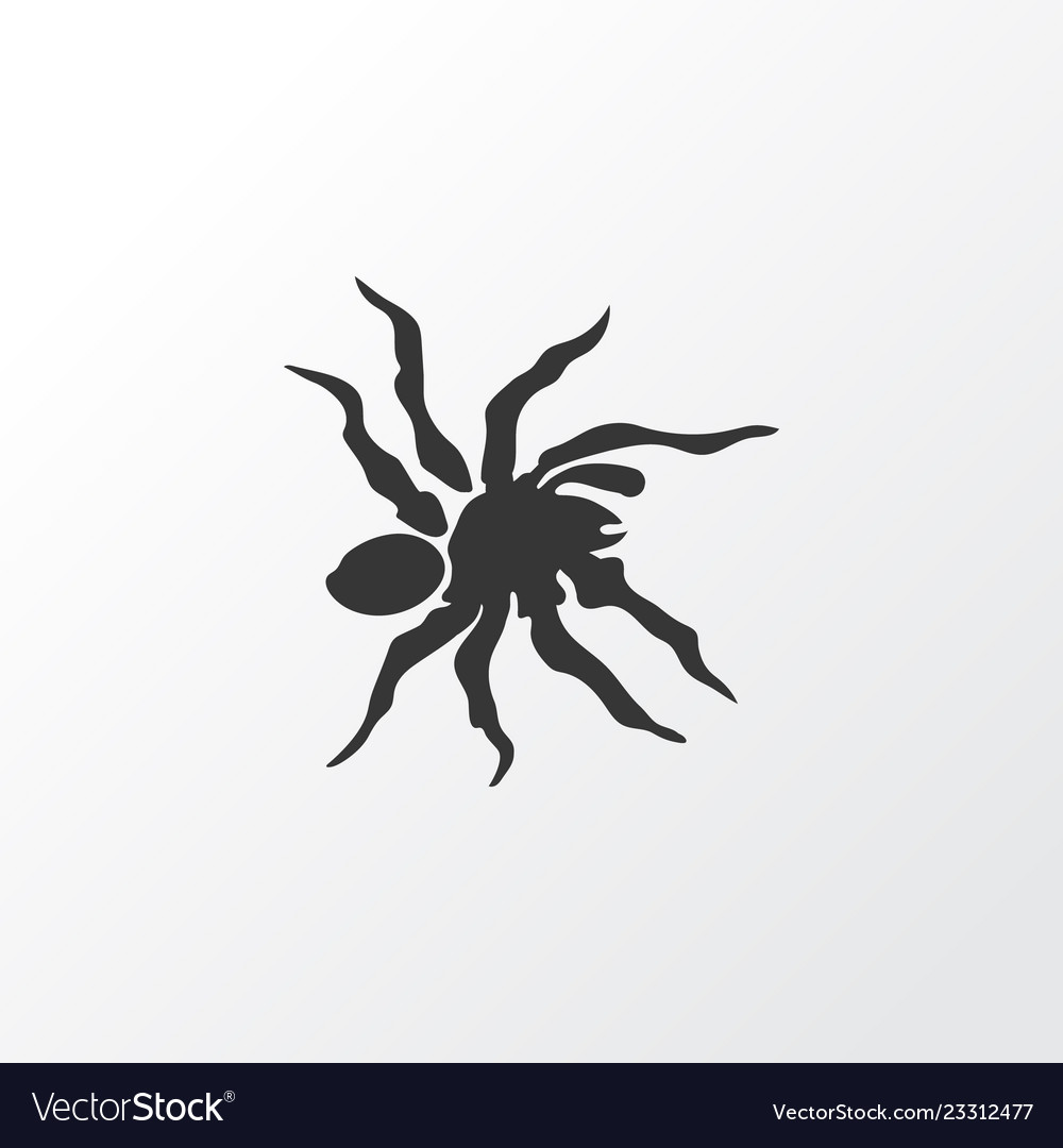 Spider icon symbol premium quality isolated Vector Image